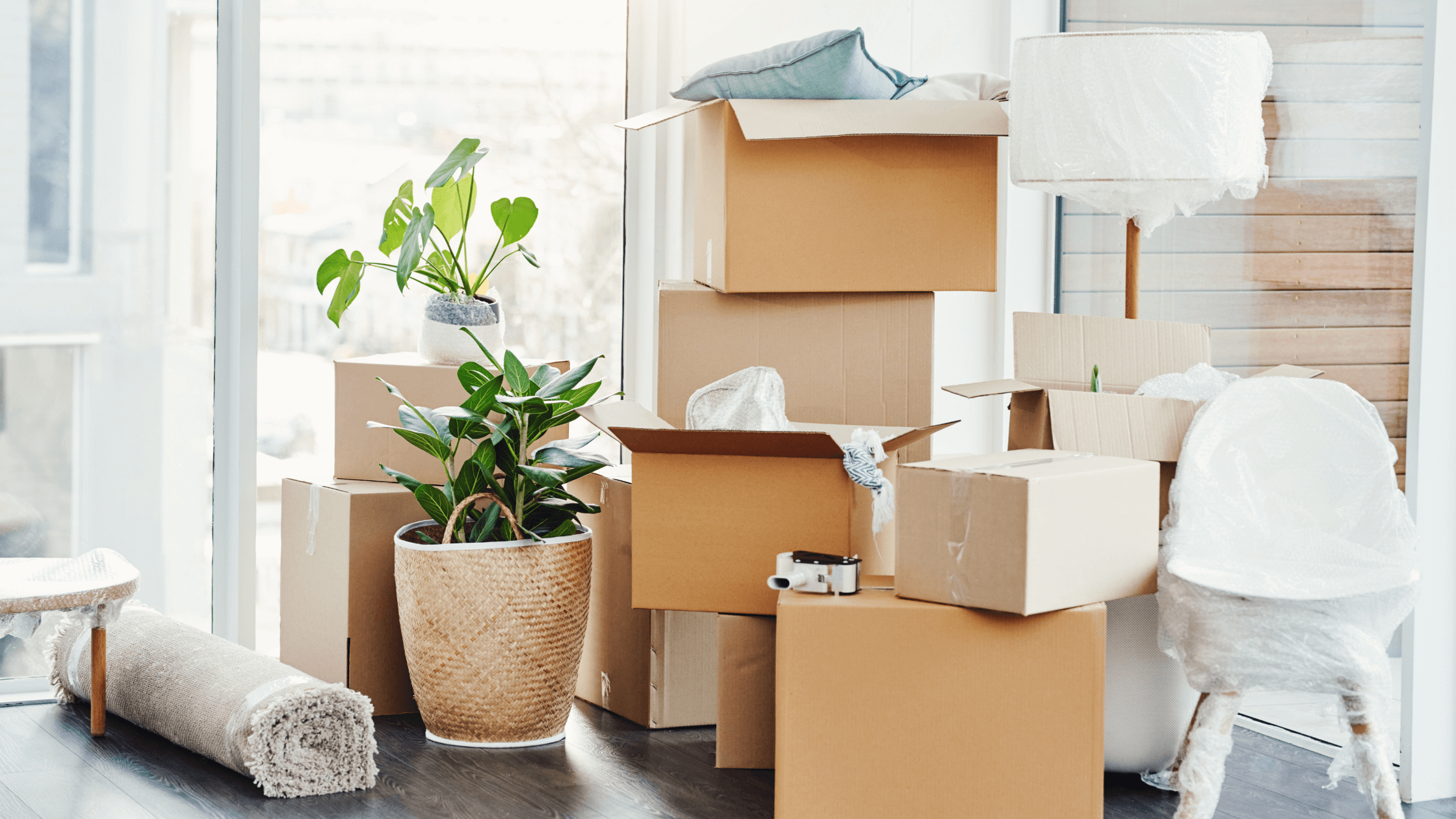 7 Tips for Staying Organized Throughout Your Move - Hanlon Park Self ...